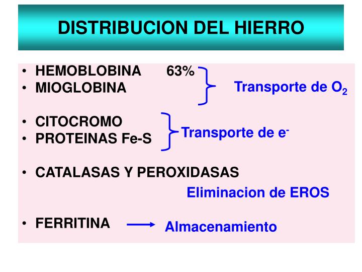PPT - BIOELEMENTOS PowerPoint Presentation - ID:5678080