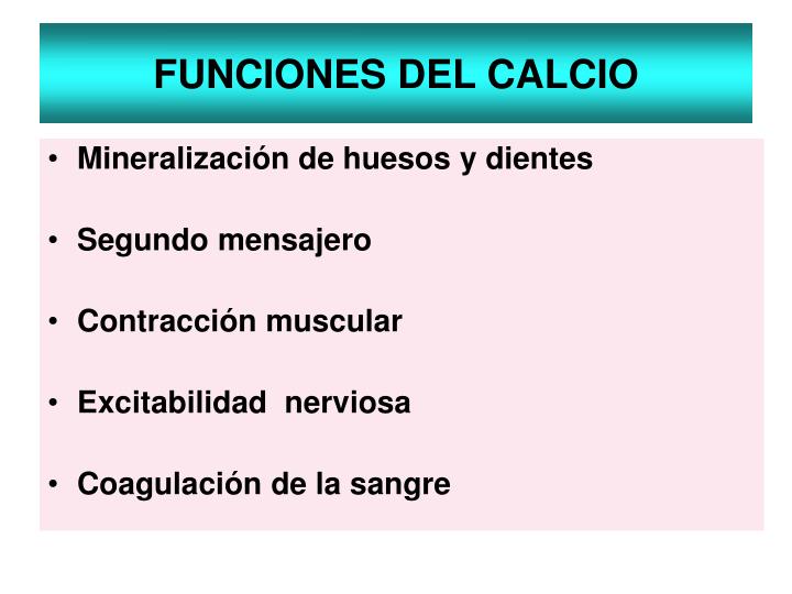 PPT - BIOELEMENTOS PowerPoint Presentation - ID:5678080