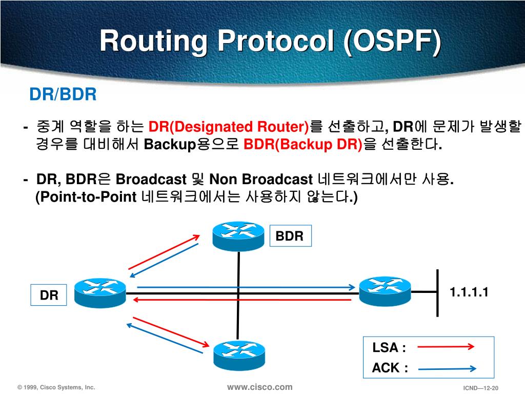 PPT - Routing Protocol (OSPF) PowerPoint Presentation, free download ... PPT - Routing Protocol (OSPF) PowerPoint Presentation, free download ...