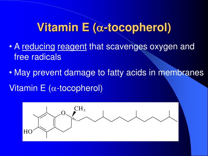 PPT - Chapter 7 - Coenzymes and Vitamins PowerPoint Presentation - ID ...