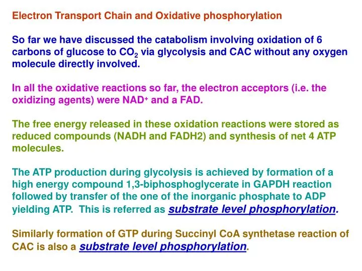 PPT - Electron Transport Chain and Oxidative phosphorylation PowerPoint ...