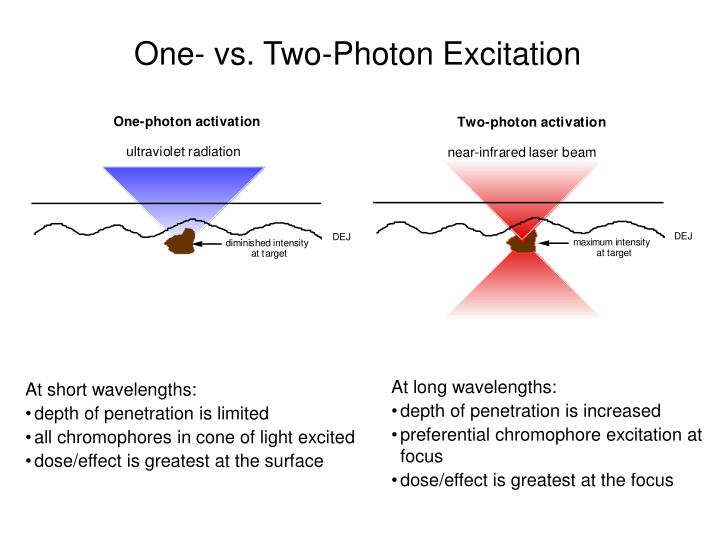 PPT - Spatially Selective Two-Photon Induction of Oxidative Damage in ...