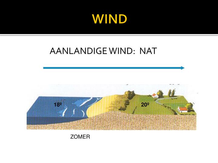 PPT - HOOFDSTUK 3 PowerPoint Presentation - ID:5680922