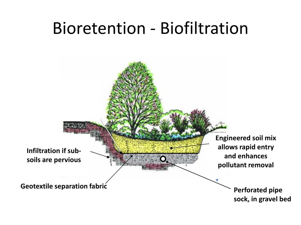 PPT - Houston Land/Water Sustainability Forum PowerPoint Presentation ...