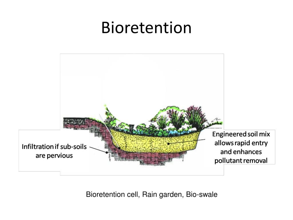PPT - Houston Land/Water Sustainability Forum PowerPoint Presentation ...