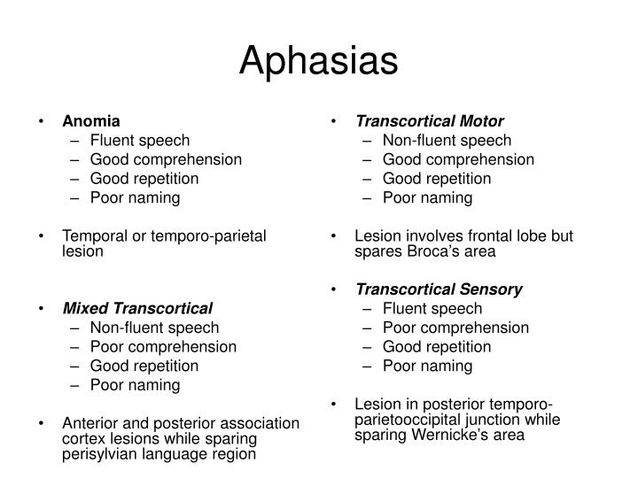 PPT - Aphasia PowerPoint Presentation - ID:5681188
