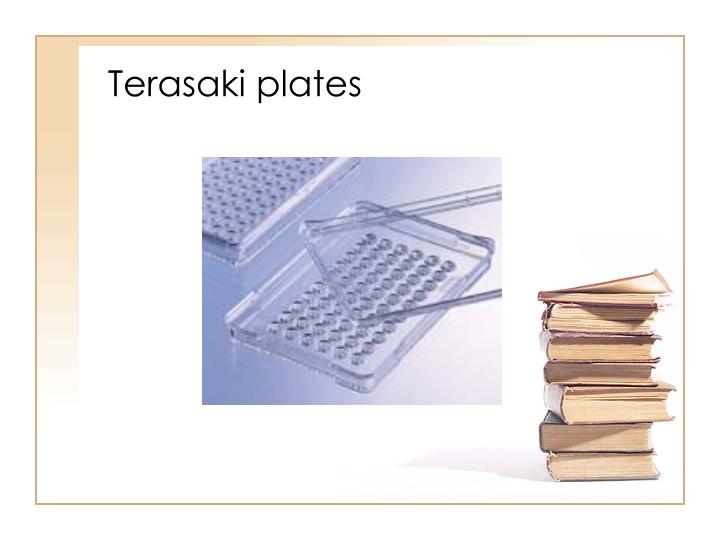 PPT - Lymphocyte proliferation (stimulation assay) PowerPoint ...