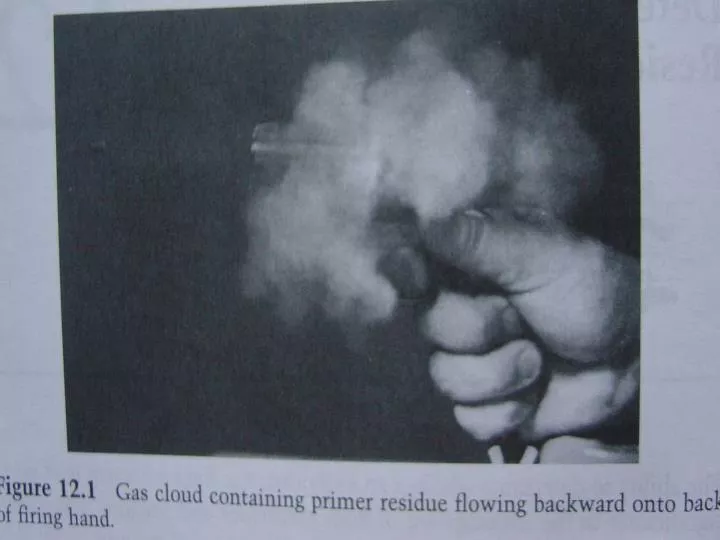 PPT - DERMAL NITRATE TEST ( PARAFFIN TEST ) PowerPoint Presentation ...