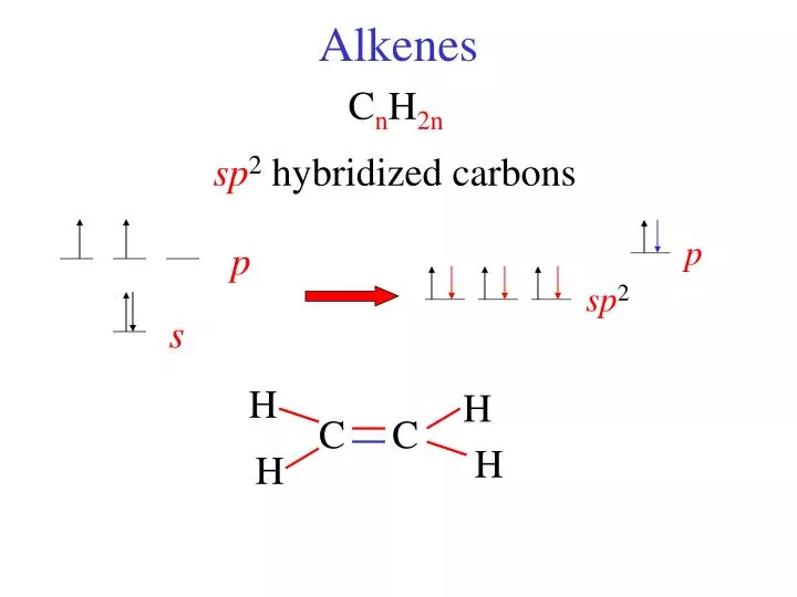 PPT - Alkenes PowerPoint Presentation, free download - ID:5683057