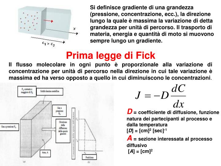 PPT - DIFFUSIONE PowerPoint Presentation - ID:5683765