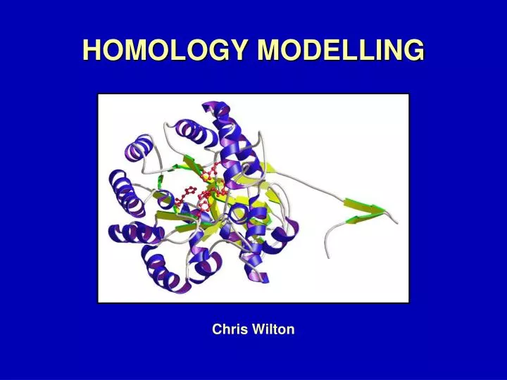 PPT - HOMOLOGY MODELLING PowerPoint Presentation, free download - ID ...