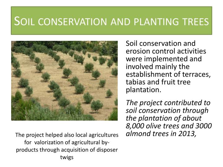 PPT - Communications Directorate PowerPoint Presentation - ID:5659376