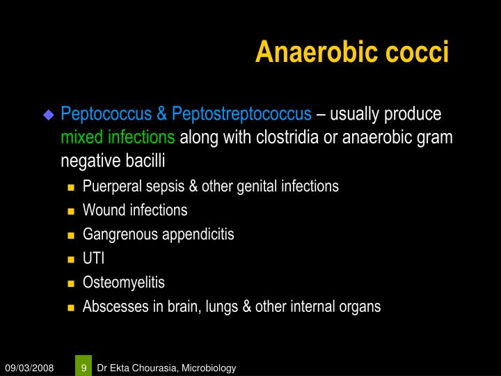PPT - Non Sporing Anaerobes PowerPoint Presentation - ID:5684806