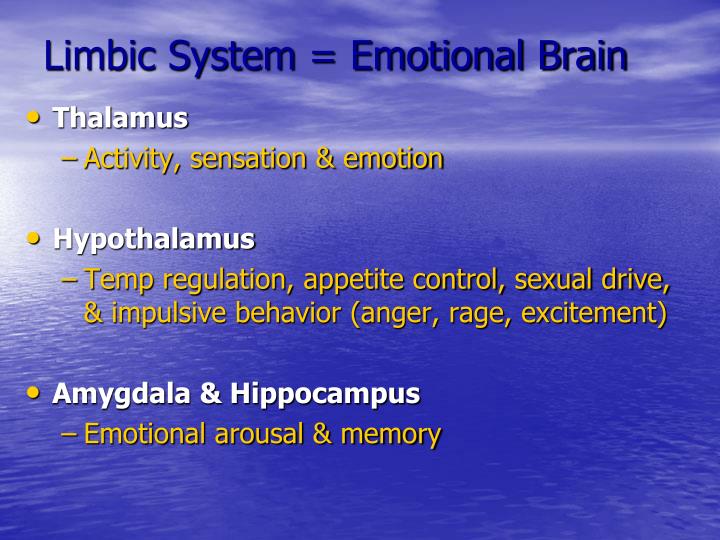 PPT - Mental Health Nursing PowerPoint Presentation - ID:5685857