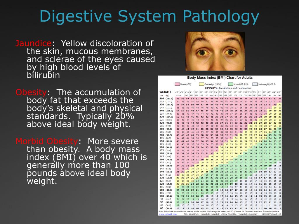 PPT - Health Sciences 1101 Medical Terminology PowerPoint Presentation ...