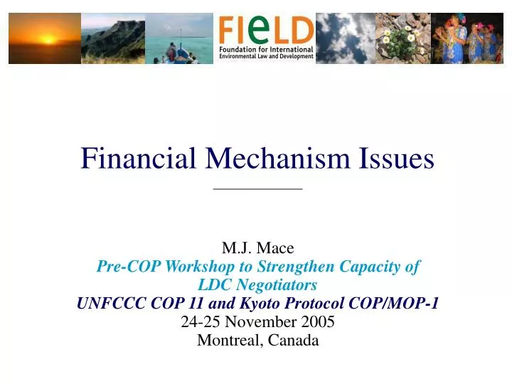 PPT - Financial Mechanism Issues ______________ PowerPoint Presentation ...