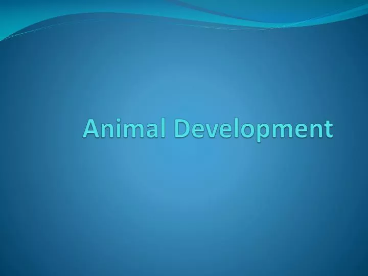 PPT - Animal Development PowerPoint Presentation, free download - ID ...
