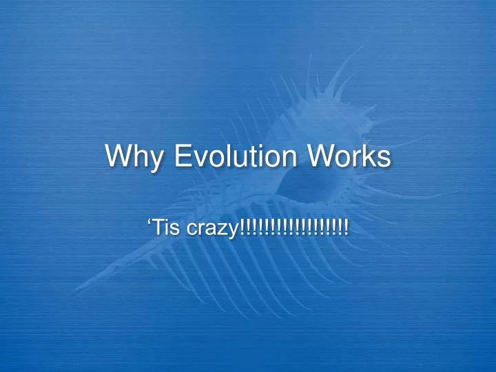PPT - Why Evolution Works PowerPoint Presentation, free download - ID ...