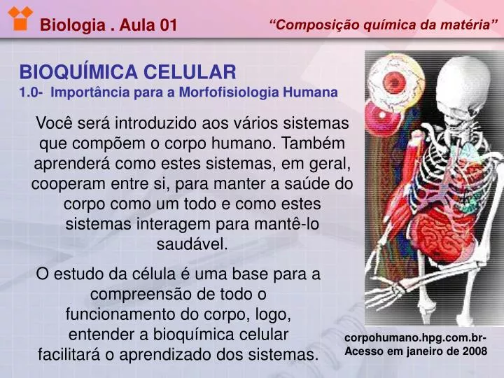 PPT - Biologia . Aula 01 PowerPoint Presentation, free download - ID:5688042