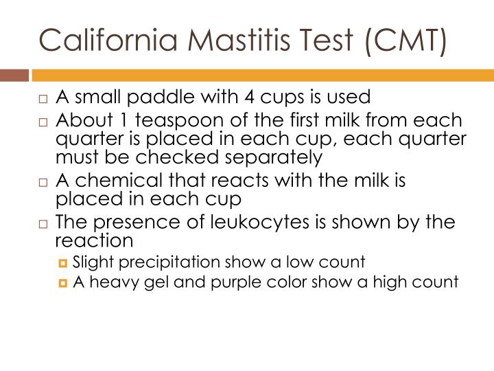 PPT - Dairy Herd Health PowerPoint Presentation - ID:5688427