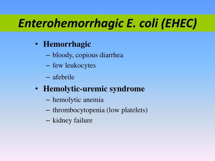 PPT - Enterobacteriaceae PowerPoint Presentation - ID:5689678
