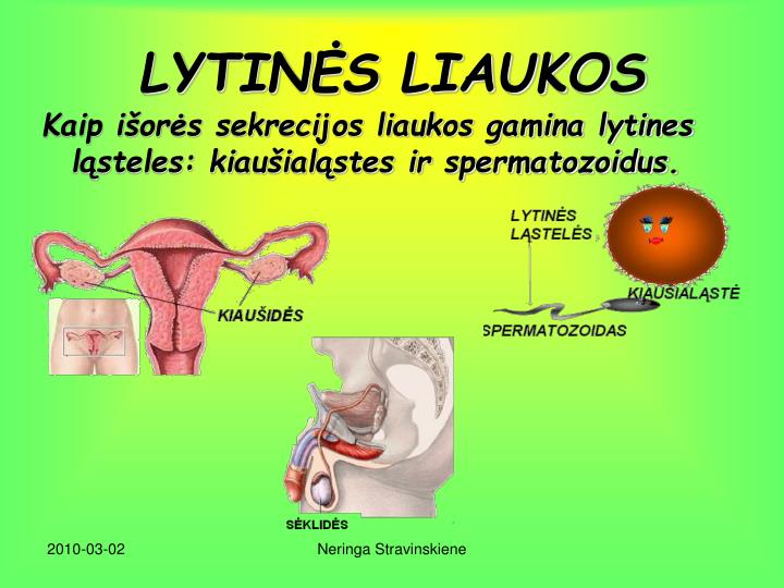 PPT - Liaukos žmogaus organizme PowerPoint Presentation - ID:5691477