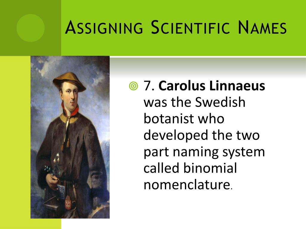 PPT - NIQ #6: Classification PowerPoint Presentation, free download ...