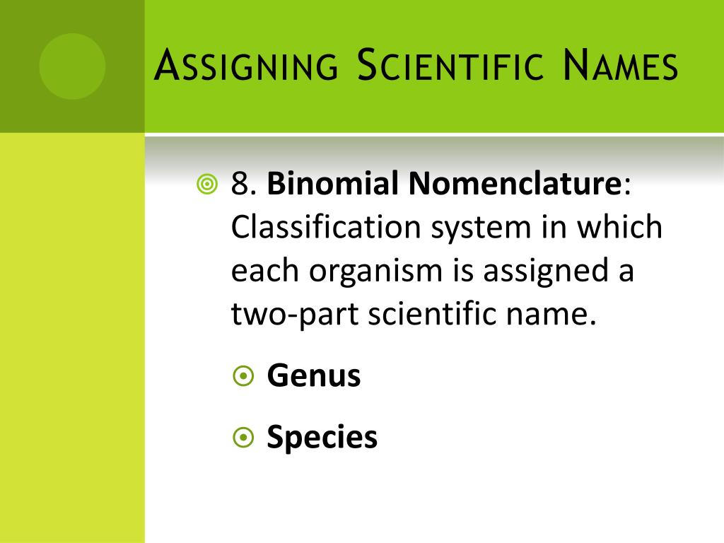 PPT - NIQ #6: Classification PowerPoint Presentation, free download ...