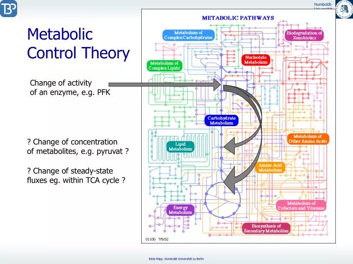 PPT - Metabolic Control Theory PowerPoint Presentation, free download ...