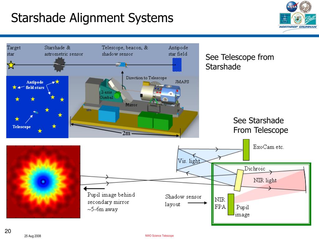 PPT - NWO Team Membership: Organizations, Roles, and Leads PowerPoint ...
