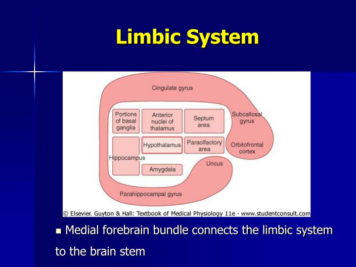 PPT - Behavioral and Motivational Mechanisms of the Brain PowerPoint ...