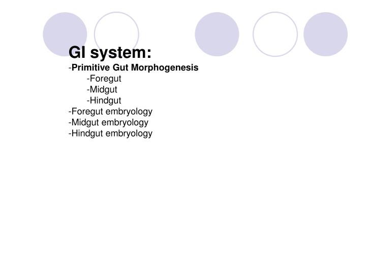 PPT - Development of GI system PowerPoint Presentation - ID:5693177