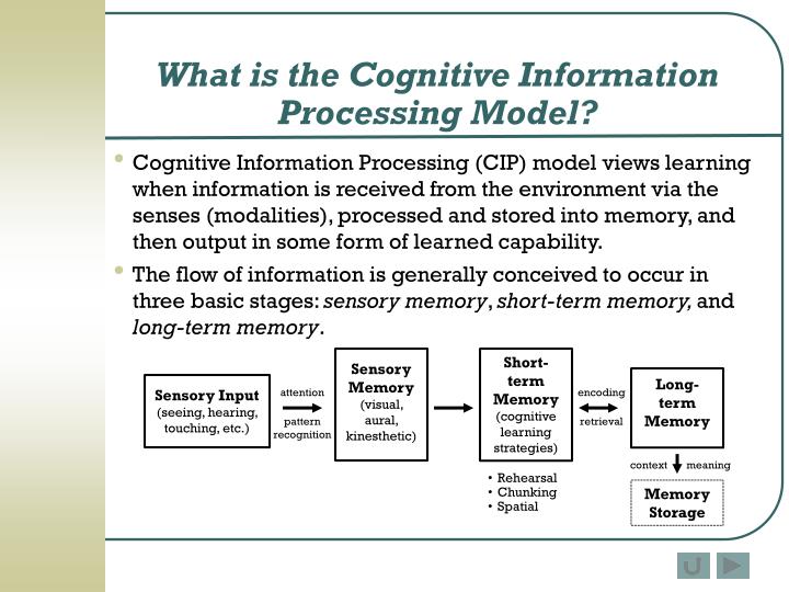 PPT - Learning Styles: Myth or Reality? PowerPoint Presentation - ID ...