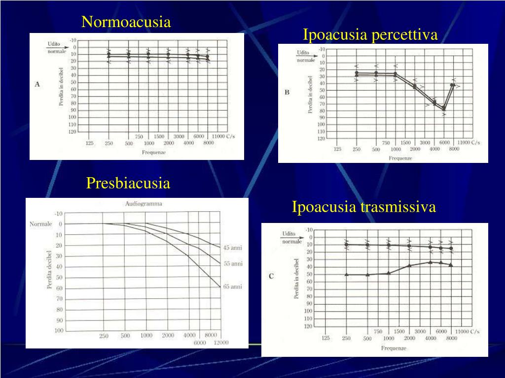 PPT - UNIVERSITÀ DEGLI STUDI DI SASSARI Laurea Specialistica in ...