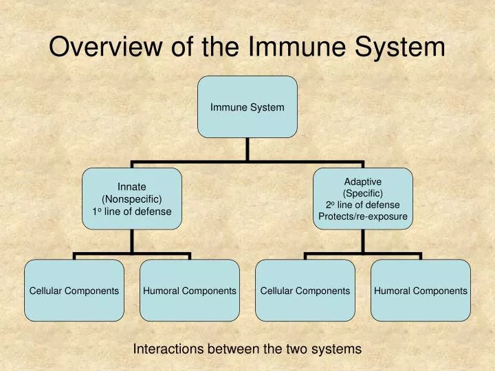PPT - Overview of the Immune System PowerPoint Presentation, free ... PPT - Overview of the Immune System PowerPoint Presentation, free ...