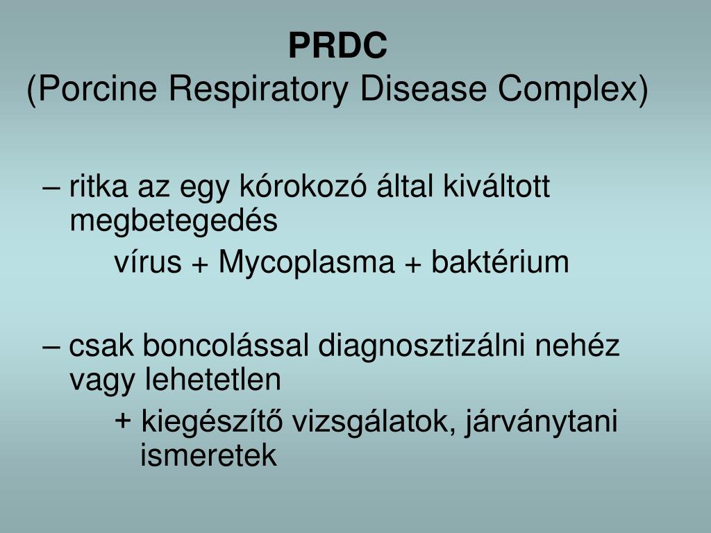 PPT - Légzőszervi betegségek elleni védekezés Dr. Rusvai Miklós ...