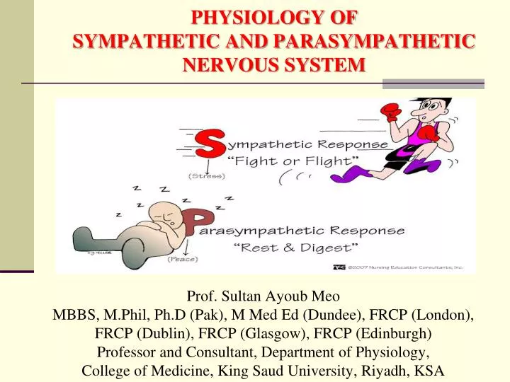 PPT - PHYSIOLOGY OF SYMPATHETIC AND PARASYMPATHETIC NERVOUS SYSTEM ...