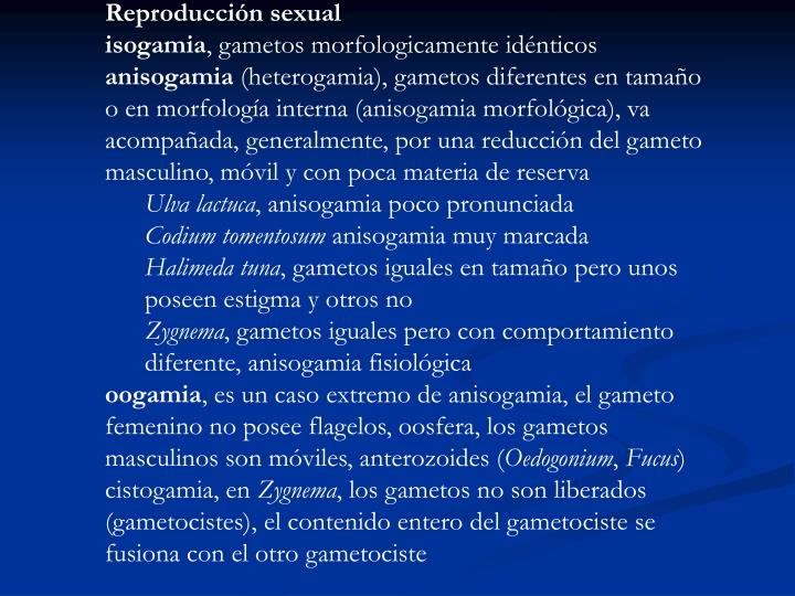 PPT - Características generales algas eucariontes: PowerPoint ...