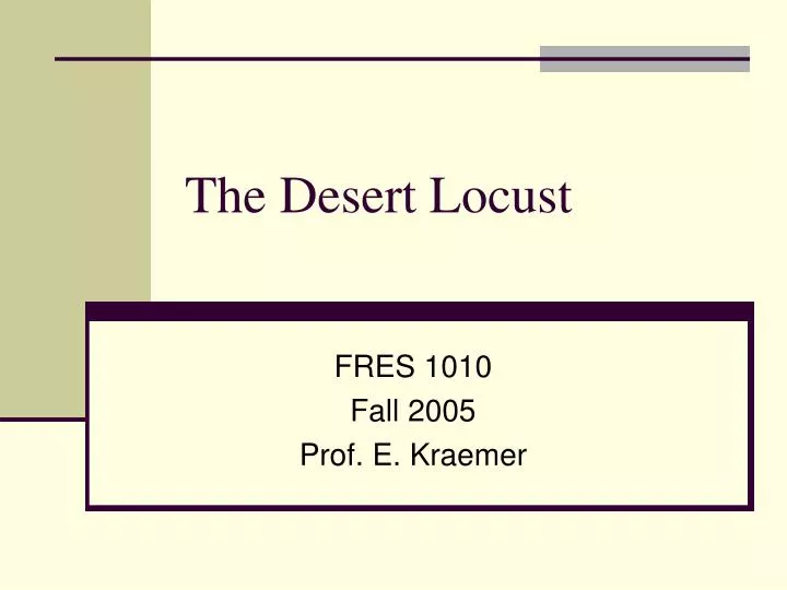 PPT - The Desert Locust PowerPoint Presentation, free download - ID:5697199