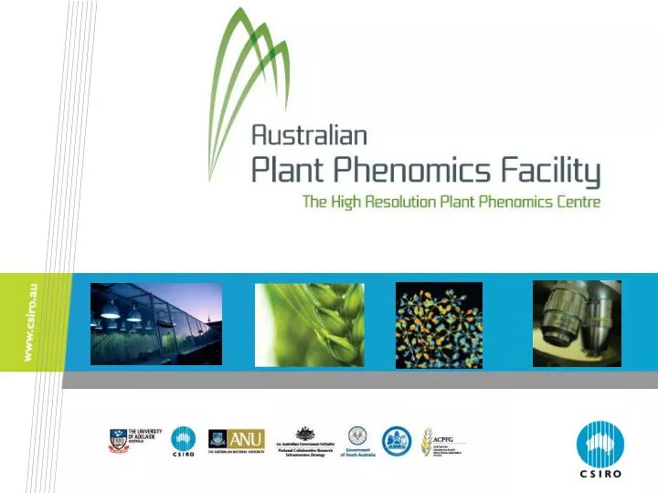 PPT - Plant phenomics PowerPoint Presentation, free download - ID:5697822