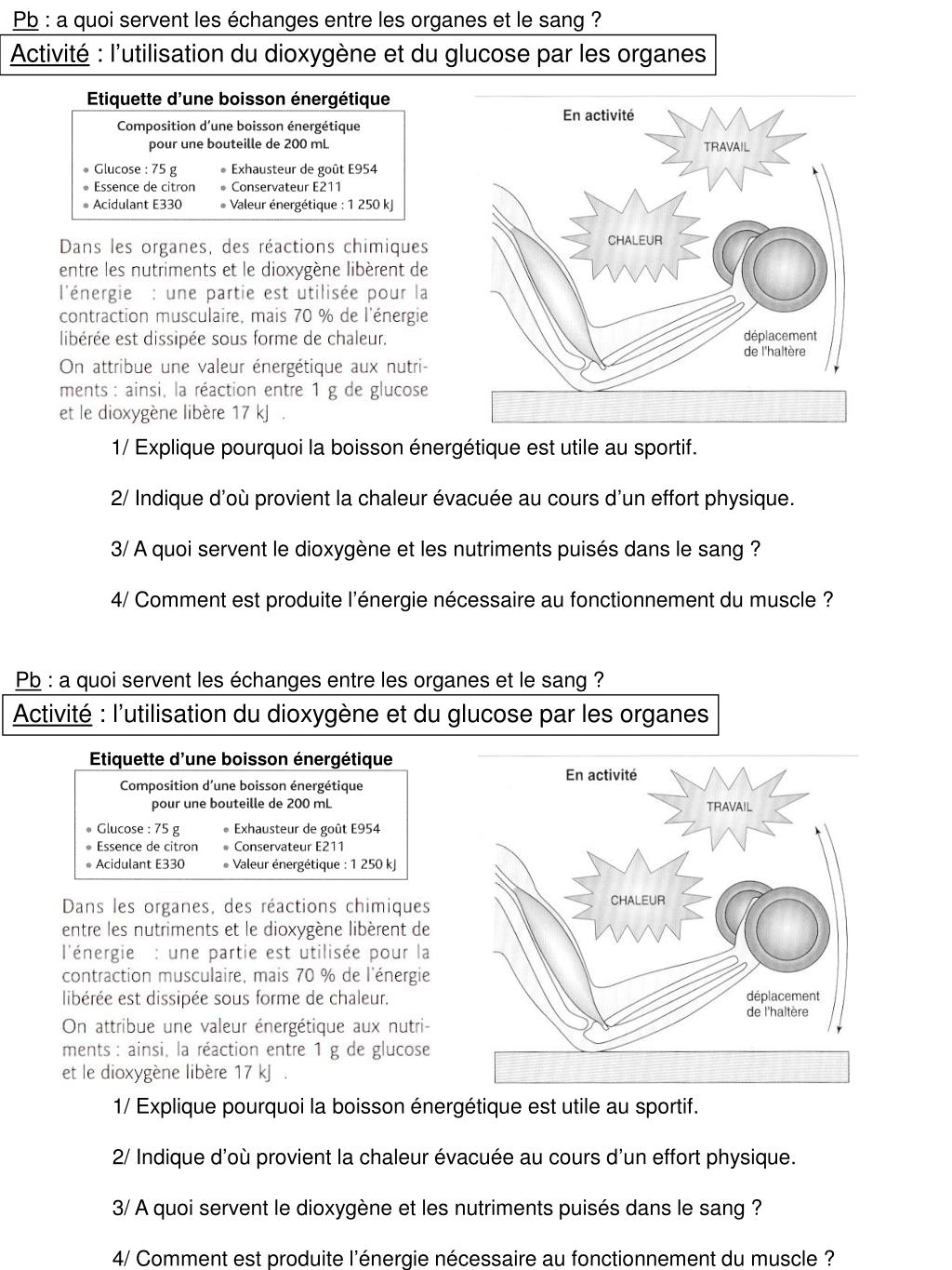 PPT - Pb : a quoi servent les échanges entre les organes et le sang ...