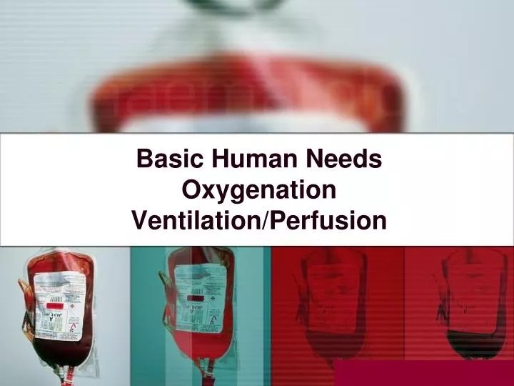 PPT - Basic Human Needs Oxygenation Ventilation/Perfusion PowerPoint ...