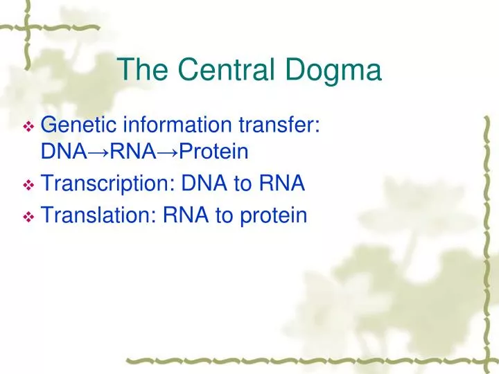 PPT - The Central Dogma PowerPoint Presentation, free download - ID:5699740