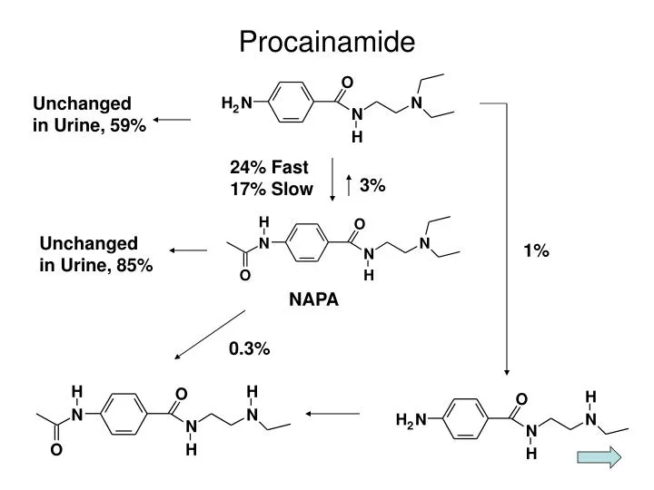 PPT - Procainamide PowerPoint Presentation, free download - ID:5700468