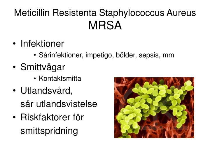 PPT - Hur hantera resistenta bakterier i Primärvården? PowerPoint ...