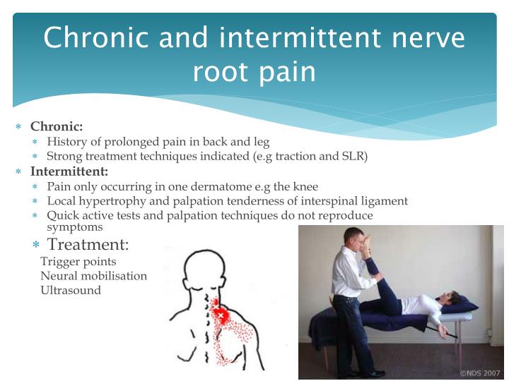 PPT - Disc lesions & Nerve Root Pain PowerPoint Presentation - ID:5701245