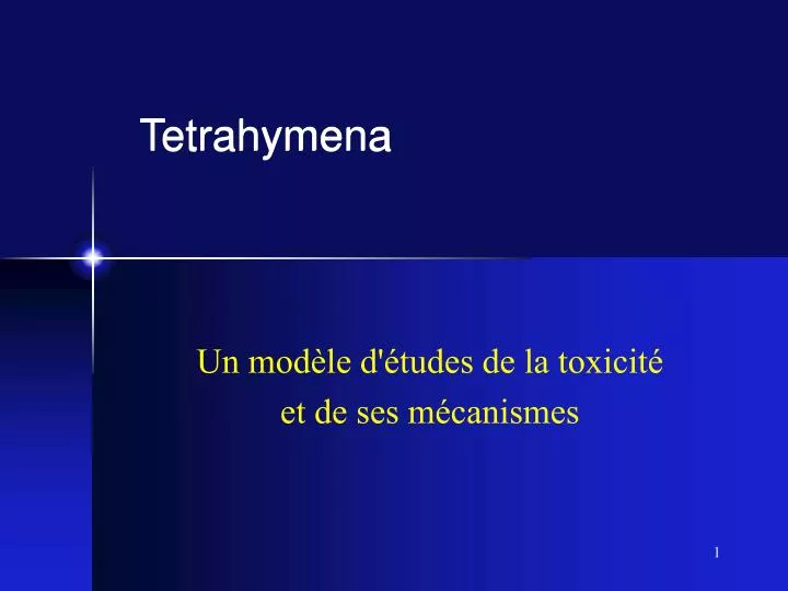 PPT - Tetrahymena PowerPoint Presentation, free download - ID:5702219