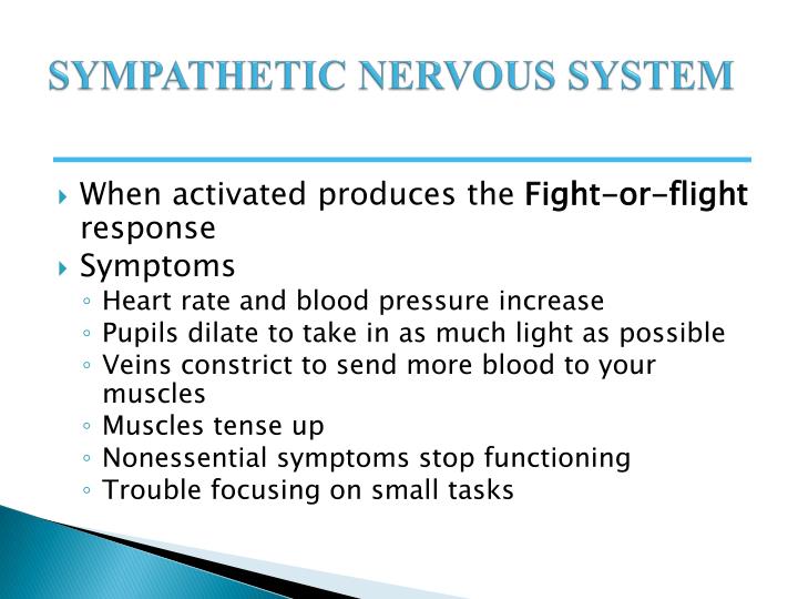 PPT - RELAXATION/ENERGIZATION: CALMING DOWN AND FIRING UP PowerPoint ...