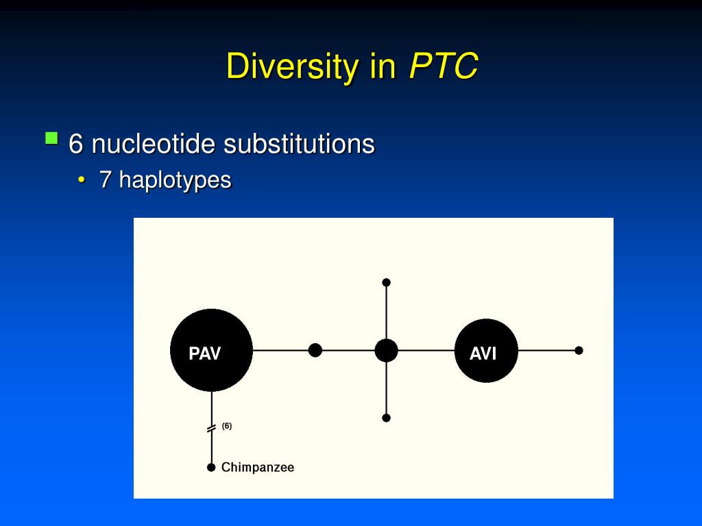 PPT - Bitter Taste Genetics: PTC and Other Stories PowerPoint ...