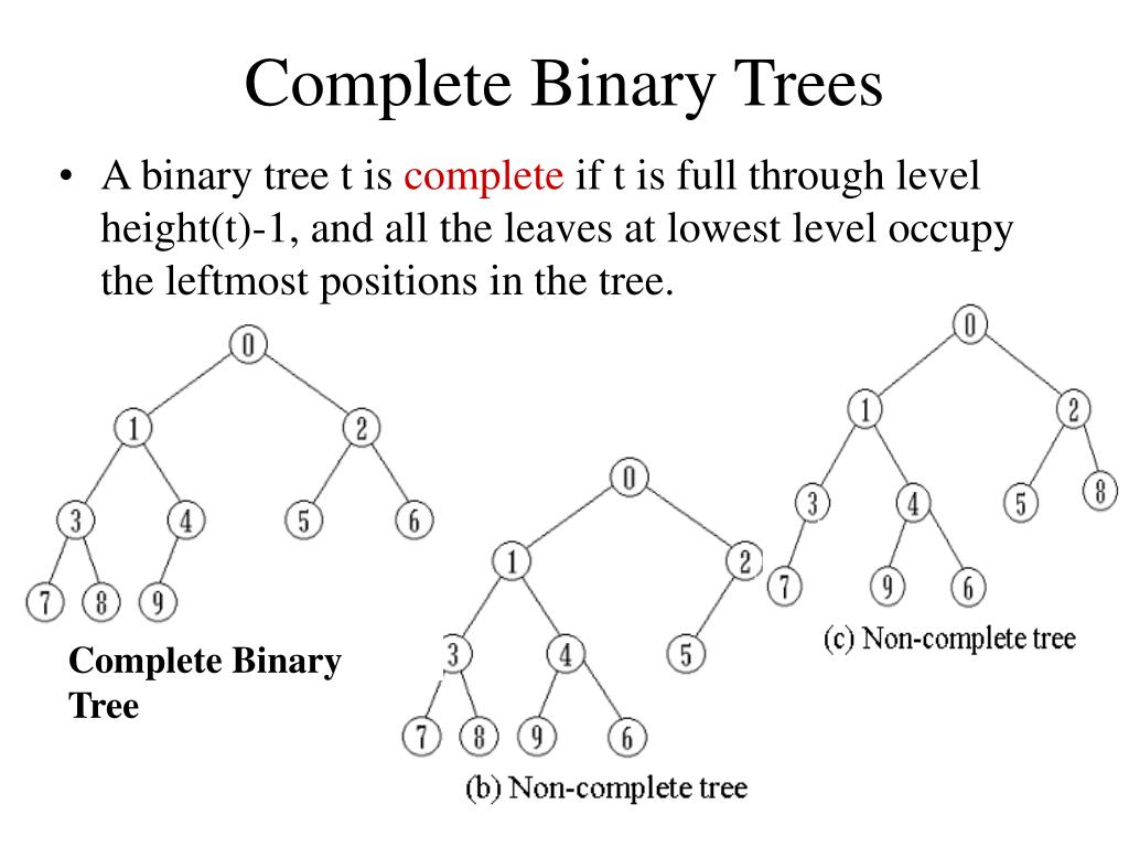 PPT Chapter 10 Trees Binary Trees PowerPoint Presentation Free 